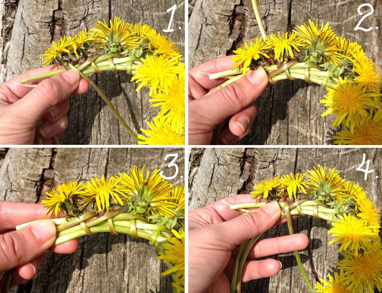 How To Make Dandelion Garland Headpiece Friendly NettleFriendly Nettle